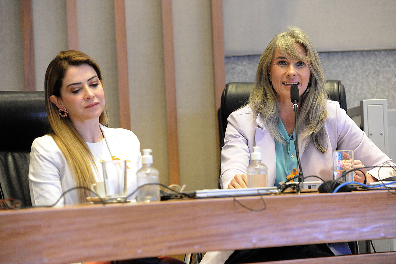 Direitos Humanos - Audiência defende atuação coletiva no combate à ...